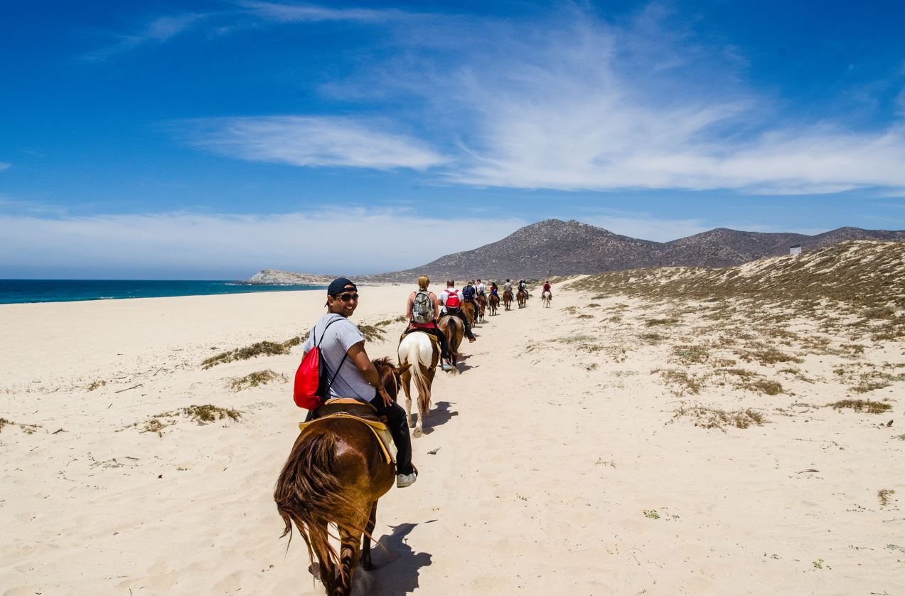 Los Cabos Has The Most Certified And Best Tour Guides In Mexico - The ...