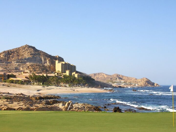 The Cabo Sun - Daily Cabo News