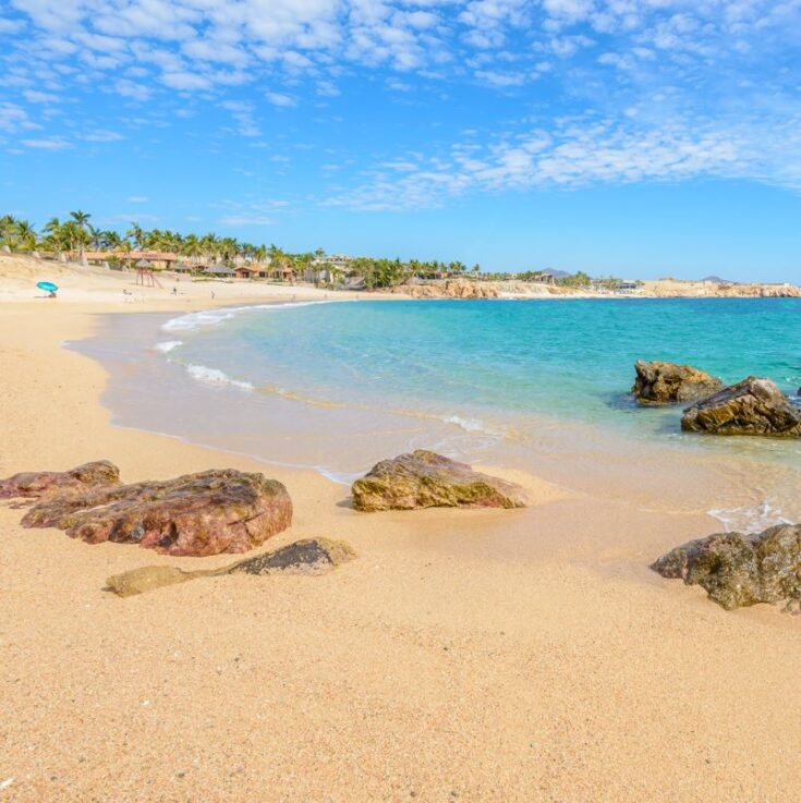 3 Cabo Beaches Make Top 10 In Mexico - The Cabo Sun