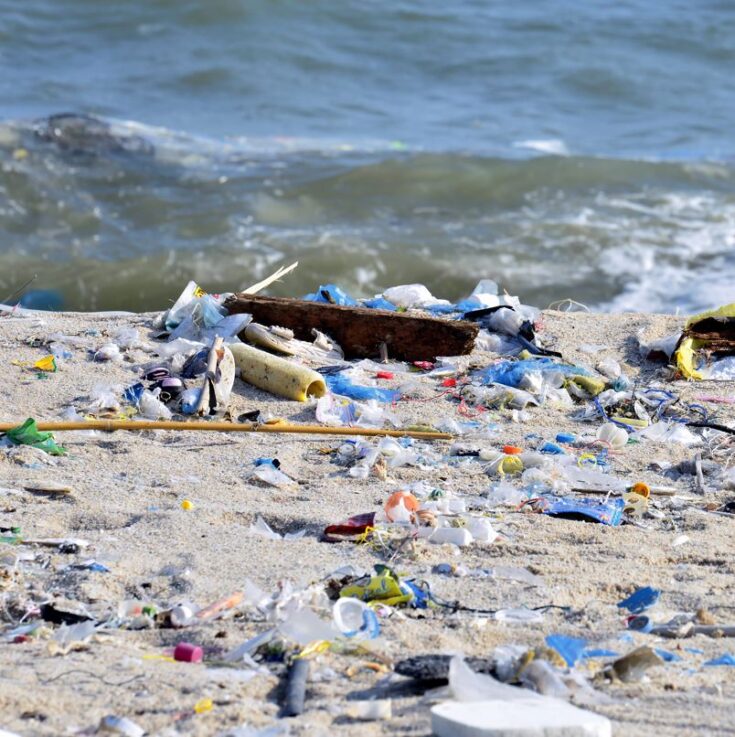 2.3 Tons Of Trash Collected From Los Cabos Beaches - Cabo Sun