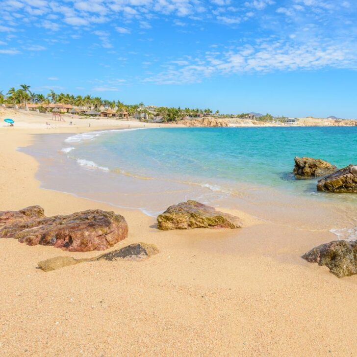 These Are Considered The Cleanest Beaches In & Near Los Cabos - The ...