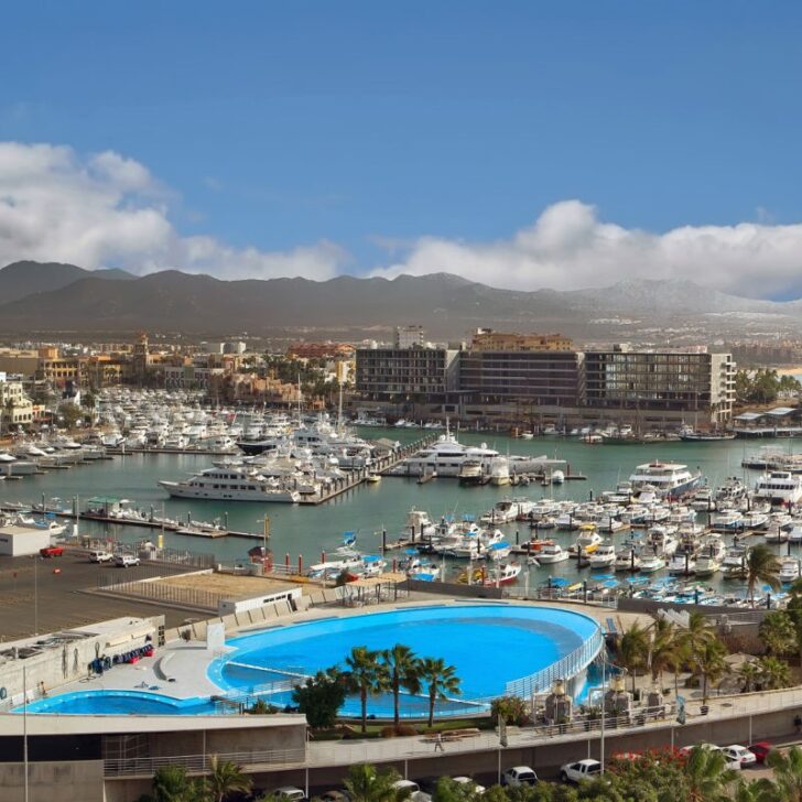 Los Cabos Return Visitors Seek Out These Activities During Their Trips ...