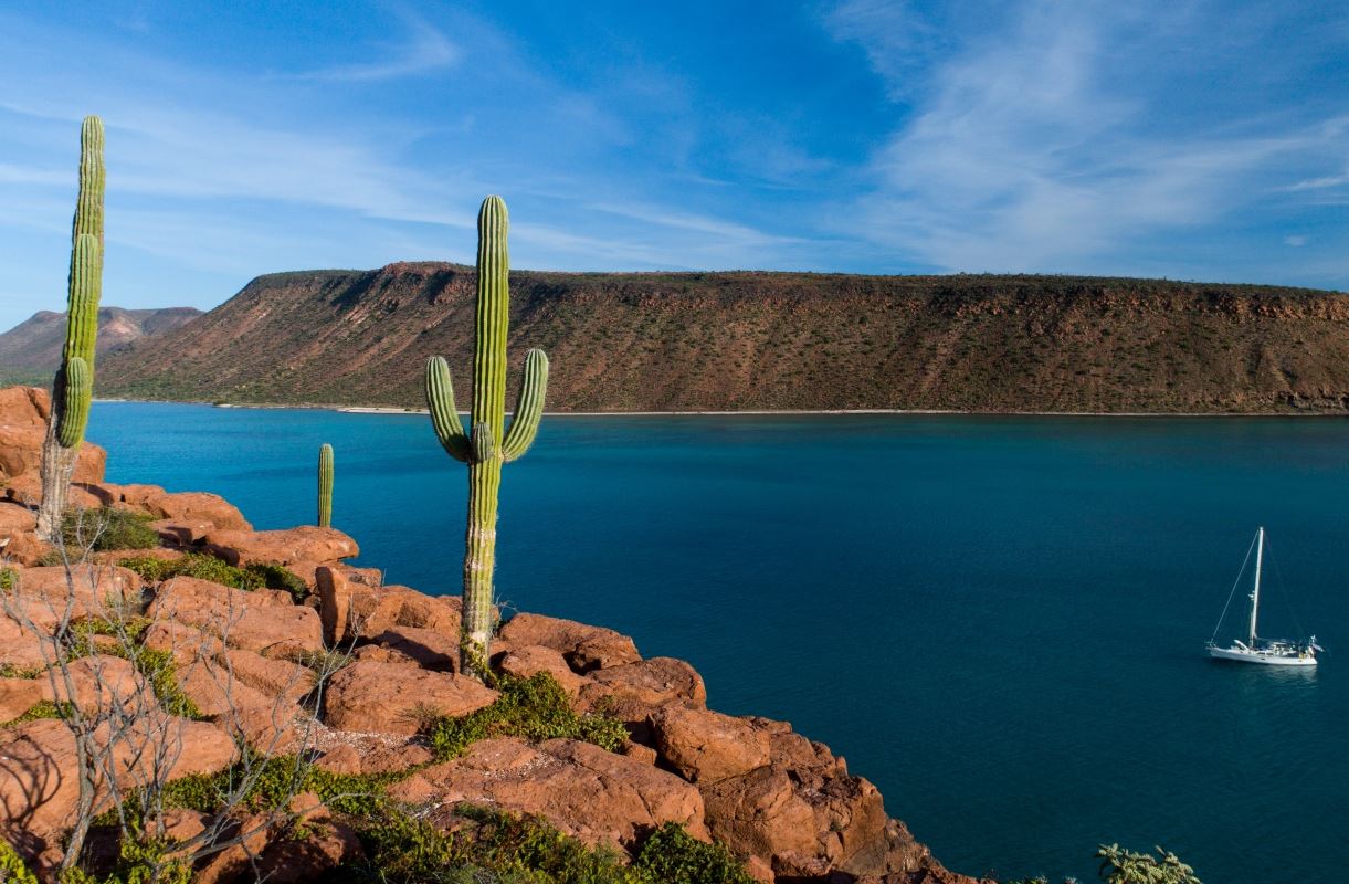 These Enchanting Islands Are A Perfect Day Trip From Los Cabos - The ...