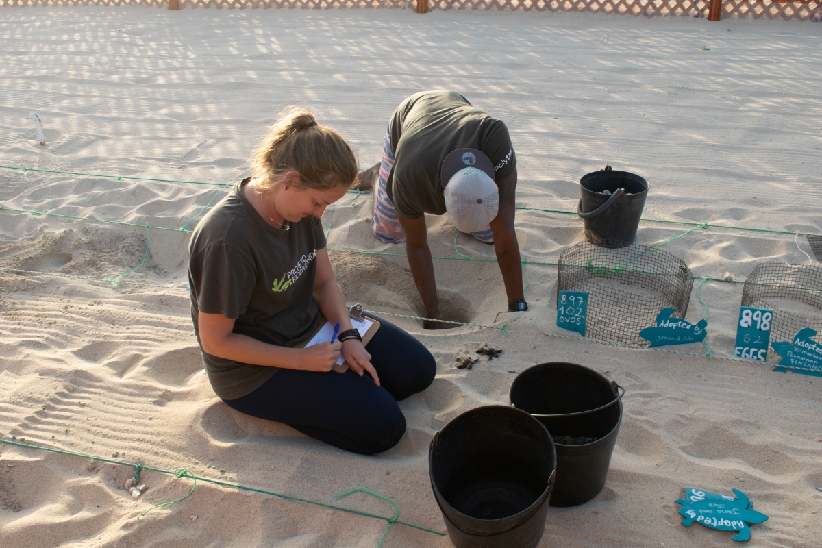 Tourists Urged To Be Cautious As Los Cabos Turtle Nesting Season ...