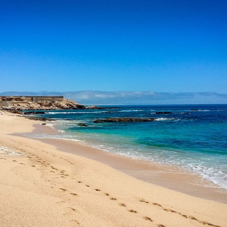 These Los Cabos Beaches Have The Calmest Waters For Swimming - Cabo Sun