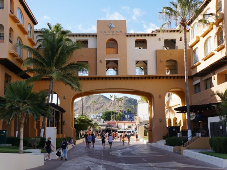Why Los Cabos Is Officially The Most Consistently Popular Big ...