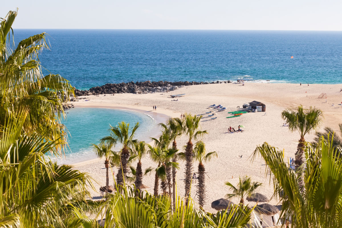 Los Cabos Beaches Reopen After Temporary Restrictions - Cabo Sun
