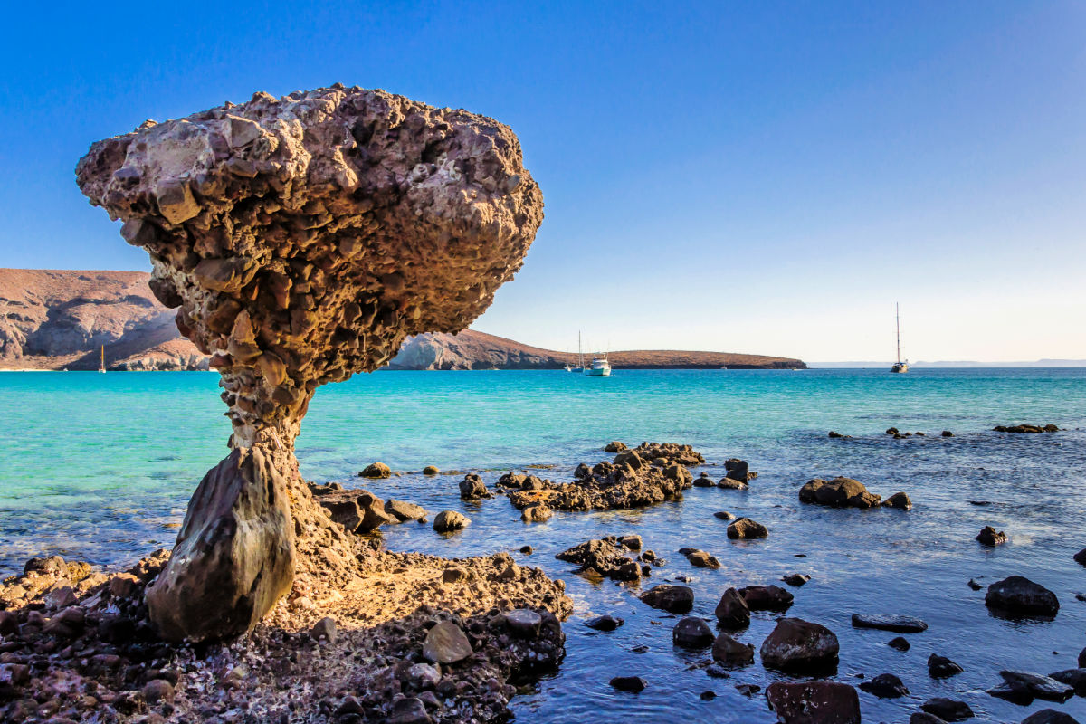 New Tourist Activity Near Los Cabos Will Help Amplify The Destination’s ...