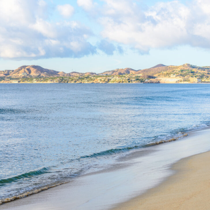 This Popular Los Cabos Hotspot Will Become Baja California Sur’s First ...