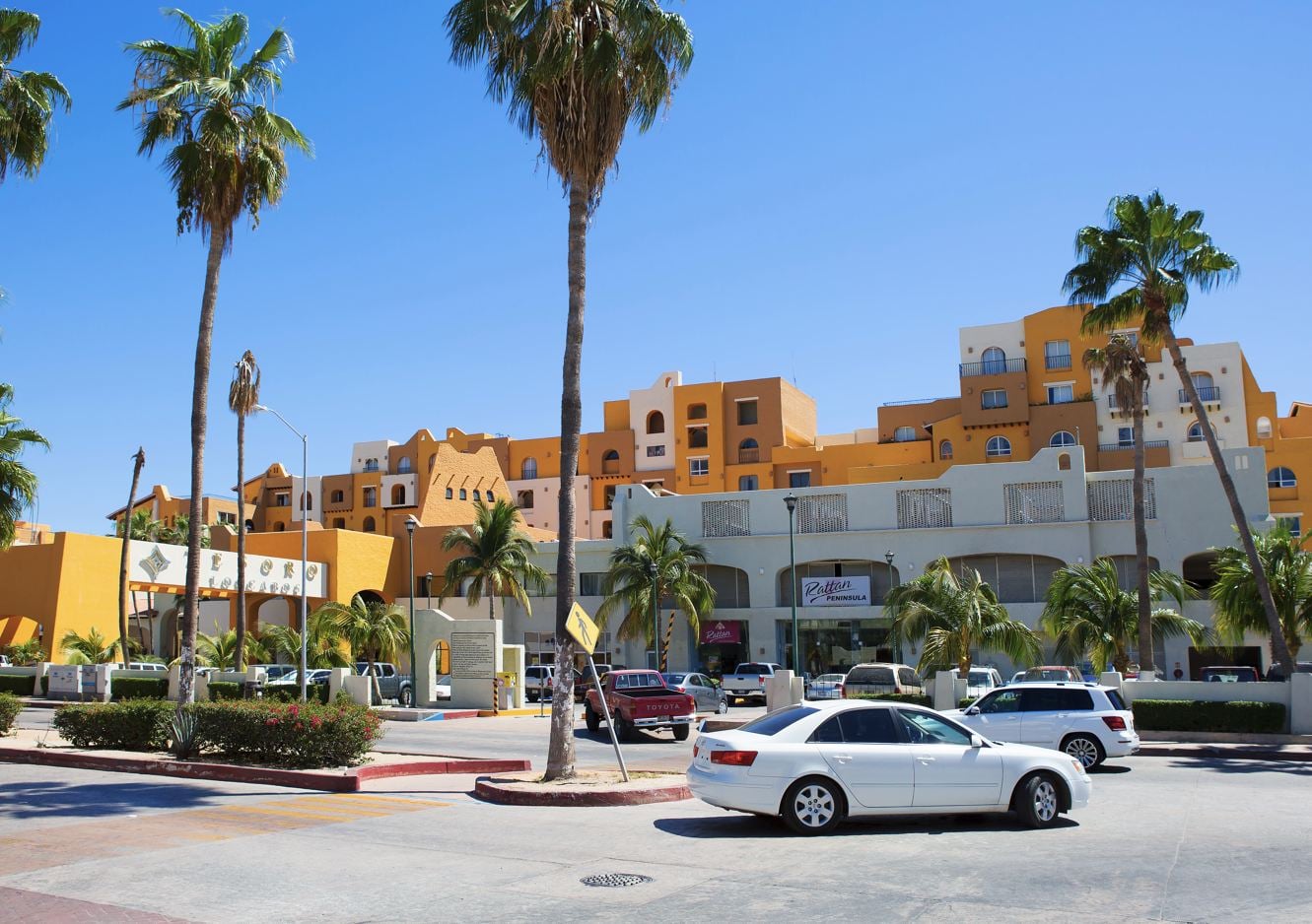 Los Cabos Pirate Taxis Thrive Despite Crackdown: What Tourists Need To ...