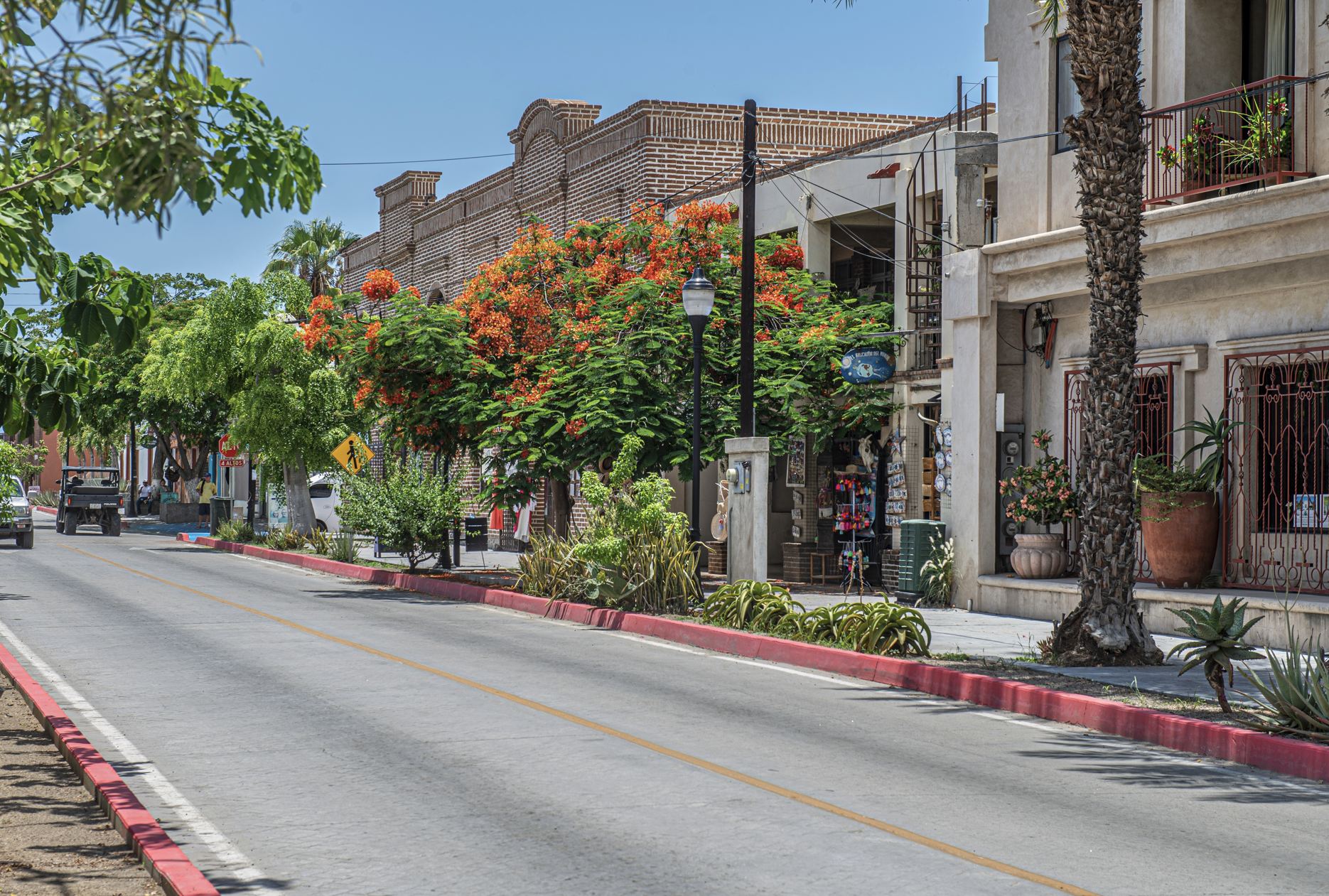 Why This Gorgeous Town Near Cabo Is Winning Wellness Awards & Gaining ...