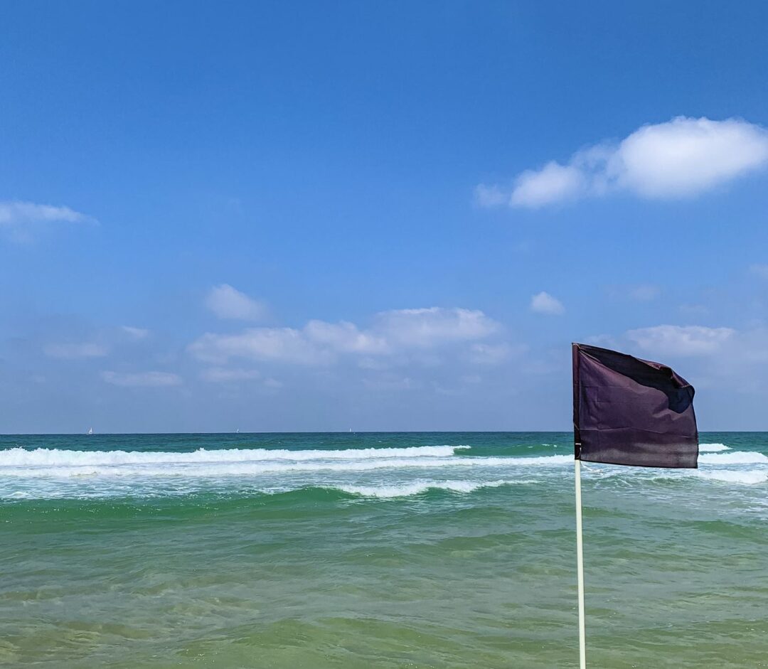 The Ultimate Los Cabos Beach Flag Guide: What Every Color Means & When ...