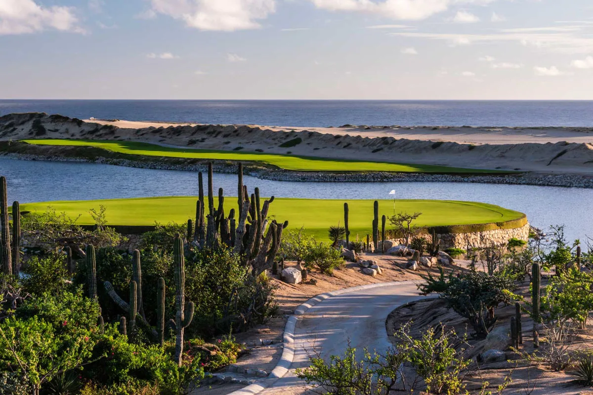 4 Reasons Why Los Cabos Will Be The Big Reason Baja Tourism Grows Again ...
