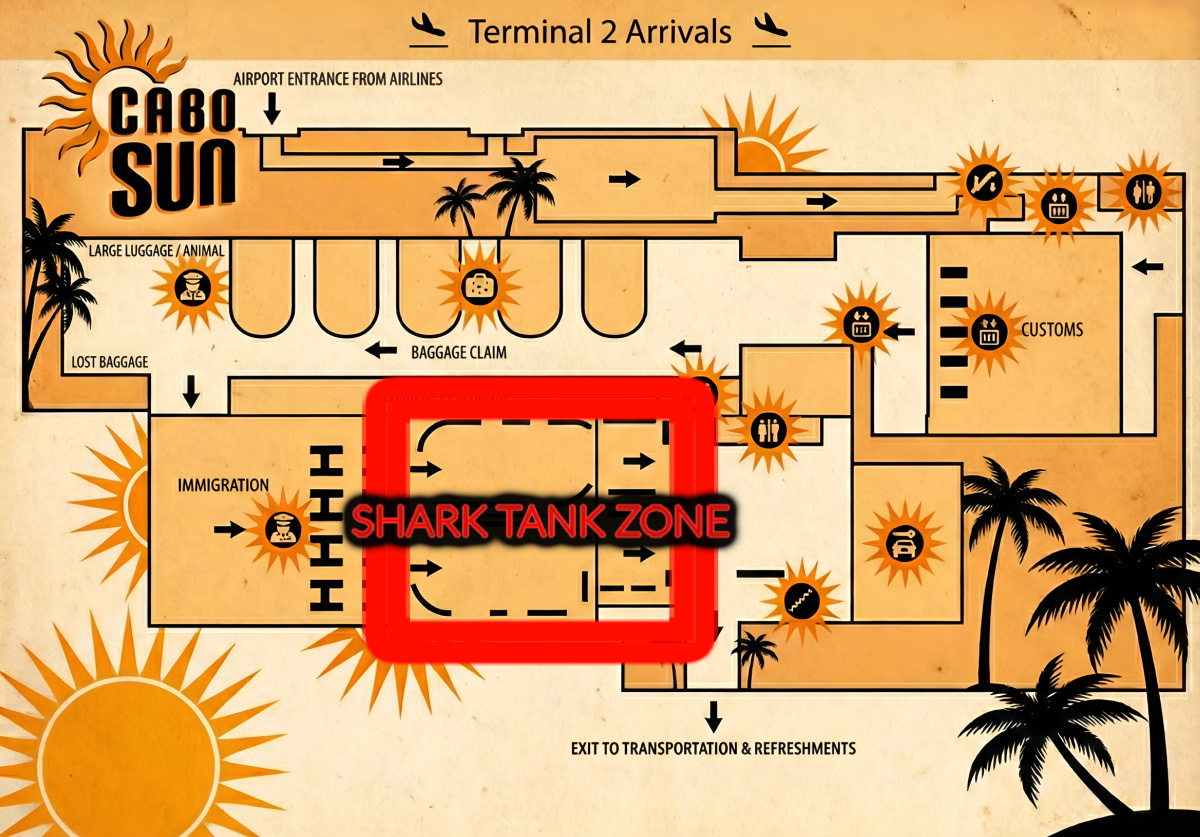3 Signs You’re About To Overpay When Booking Cabo Excursions (And How ...